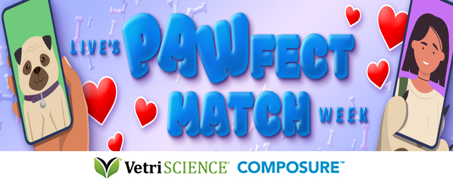 PAWfect Match Week | LIVE with Kelly and Mark
